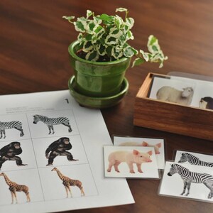 Montessori Matching Cards Blueprints - Etsy