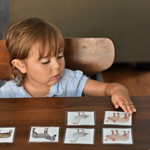 Montessori Matching Cards Blueprints - Etsy