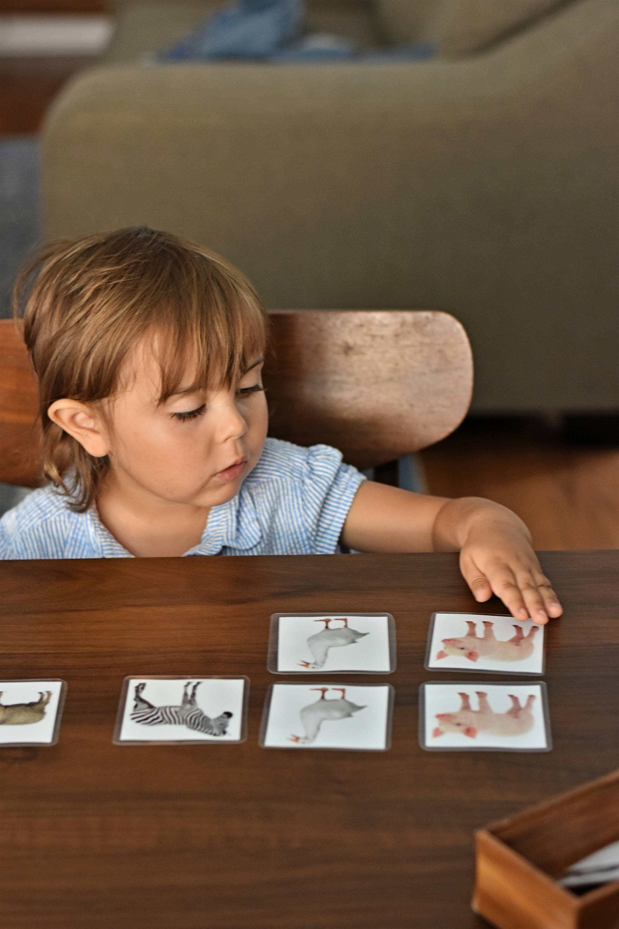 Montessori Matching Cards Blueprints - Etsy