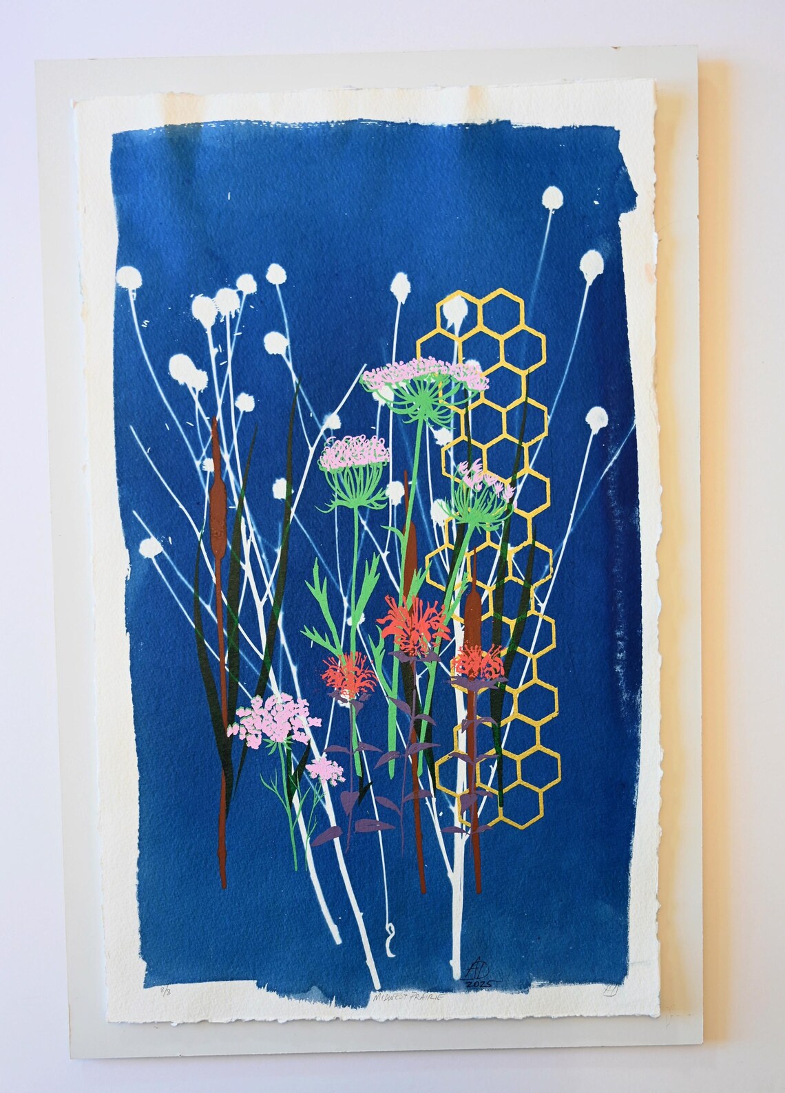 Original Wild Flowers Cyanotype Screen PRINT - Framed 16 X 24 ...