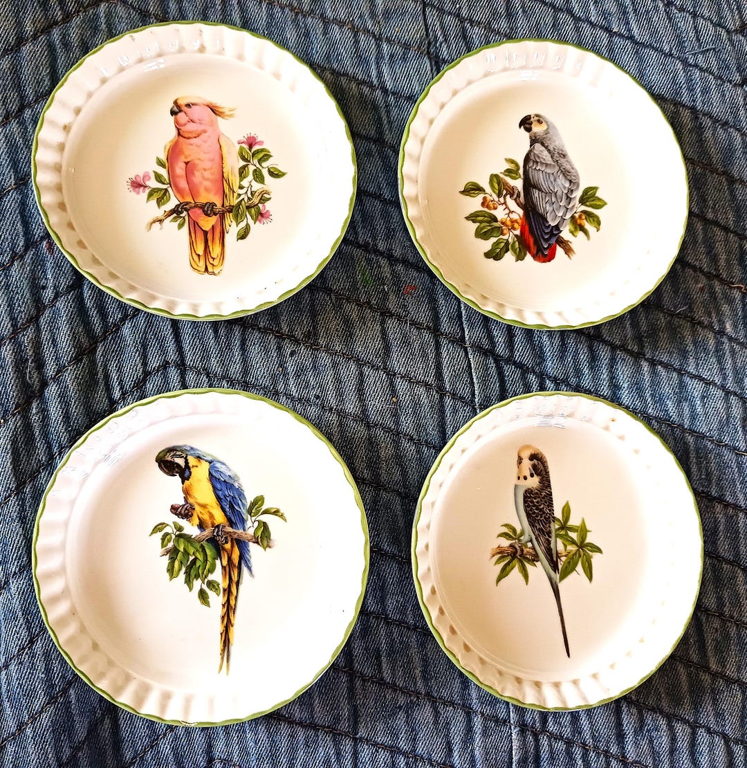 VINTAGE Porcelain MEISELMAN Mini-plates Exotic Pet Birds .4.25' Diam ...