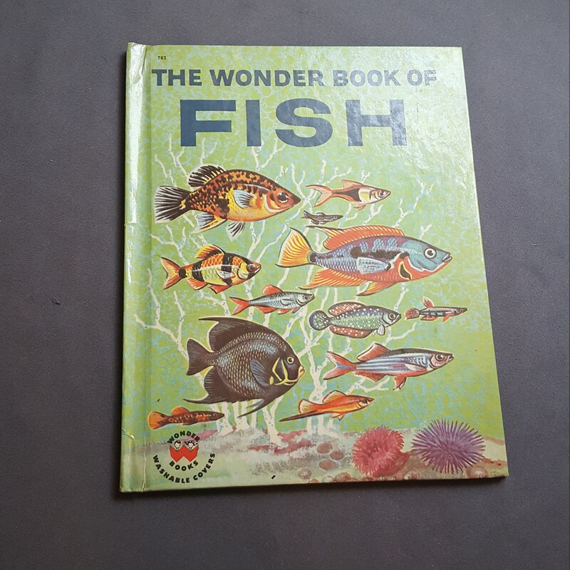 Wonder Books - Etsy