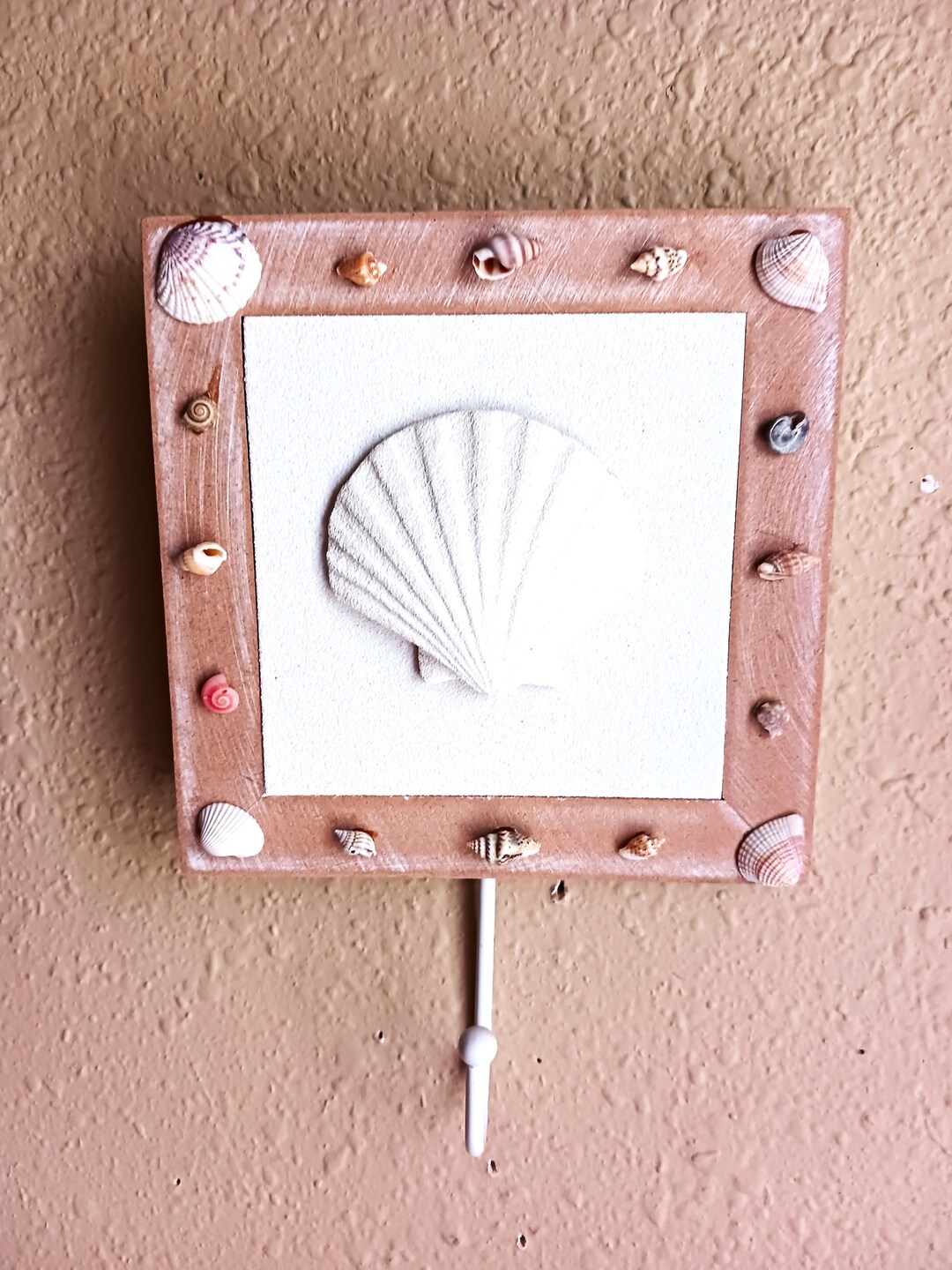 SEASHELL HOOK Wood Base Sand Cast Shell Bathroom Decor Seaside Home ...