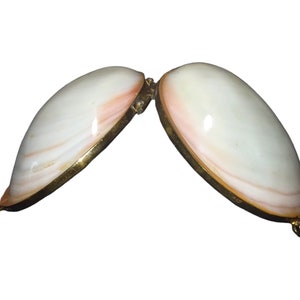 Vintage Clam Shell Hinged Coin Change Purse Trinket Holder or Ring ...