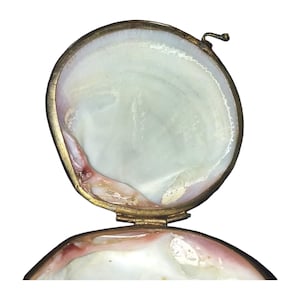 Vintage Clam Shell Hinged Coin Change Purse Trinket Holder or Ring ...
