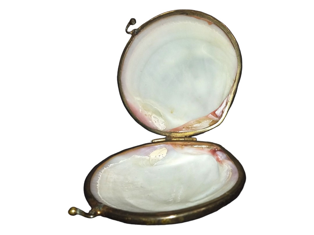 Vintage Clam Shell Hinged Coin Change Purse Trinket Holder or Ring ...
