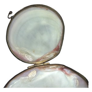 Vintage Clam Shell Hinged Coin Change Purse Trinket Holder or Ring ...