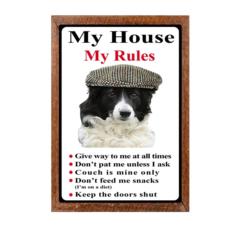 Border Collie My House My Rules Sign | Etsy