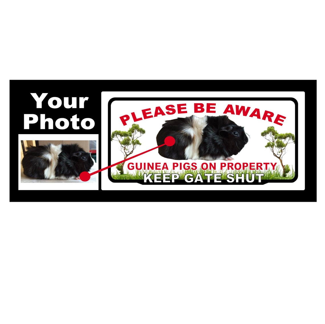 Personalised or standard Guinea Pig sign | Etsy