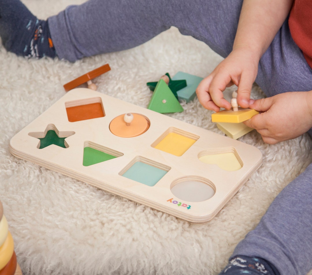 Montessori Shape Sorting Toy for Christmas Gift, Waldorf Development ...