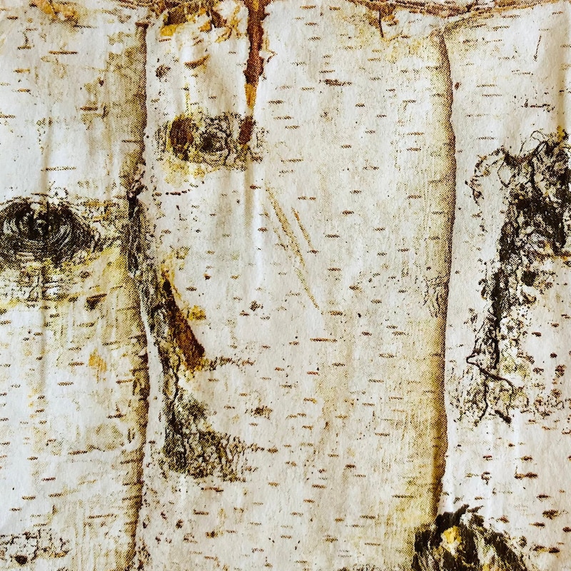 Birch Bark Artwork - Etsy