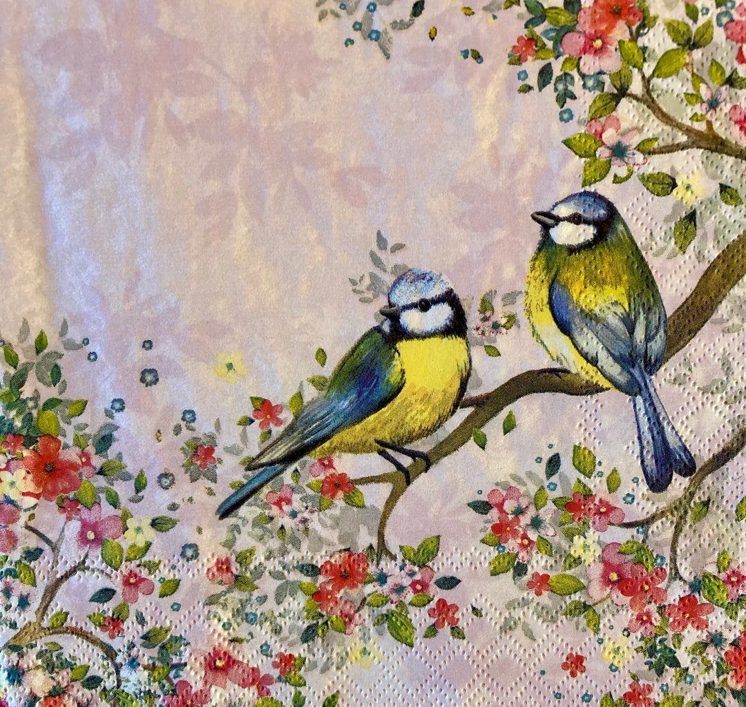 3 Decoupage Napkins, Spring Blue Birds Watching, 13" X 13" Unfolded - Etsy