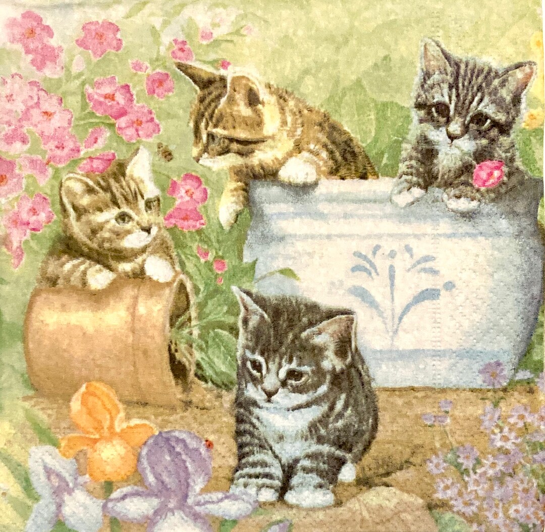 3 Decoupage Napkins - Cute Kittens in Garden Flower Pots, 13" X 13 ...