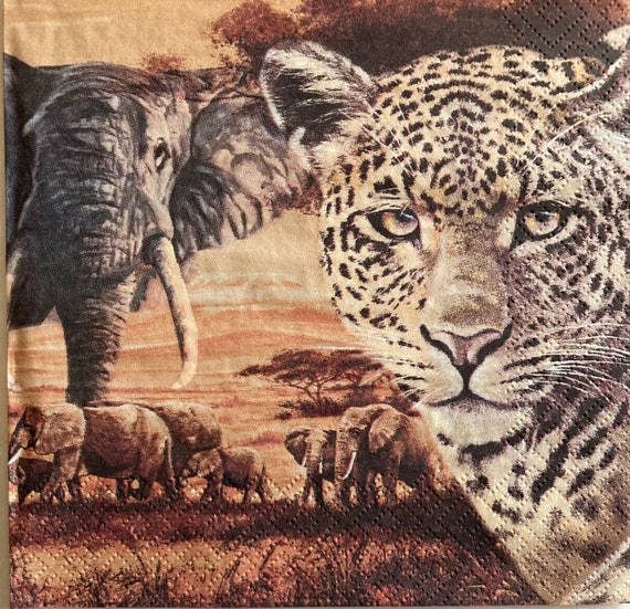 Animali Africani