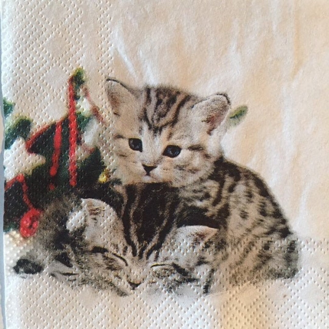 3 Decoupage Beverage Napkins, Christmas Gray Kittens 10" X 10" Unfolded ...