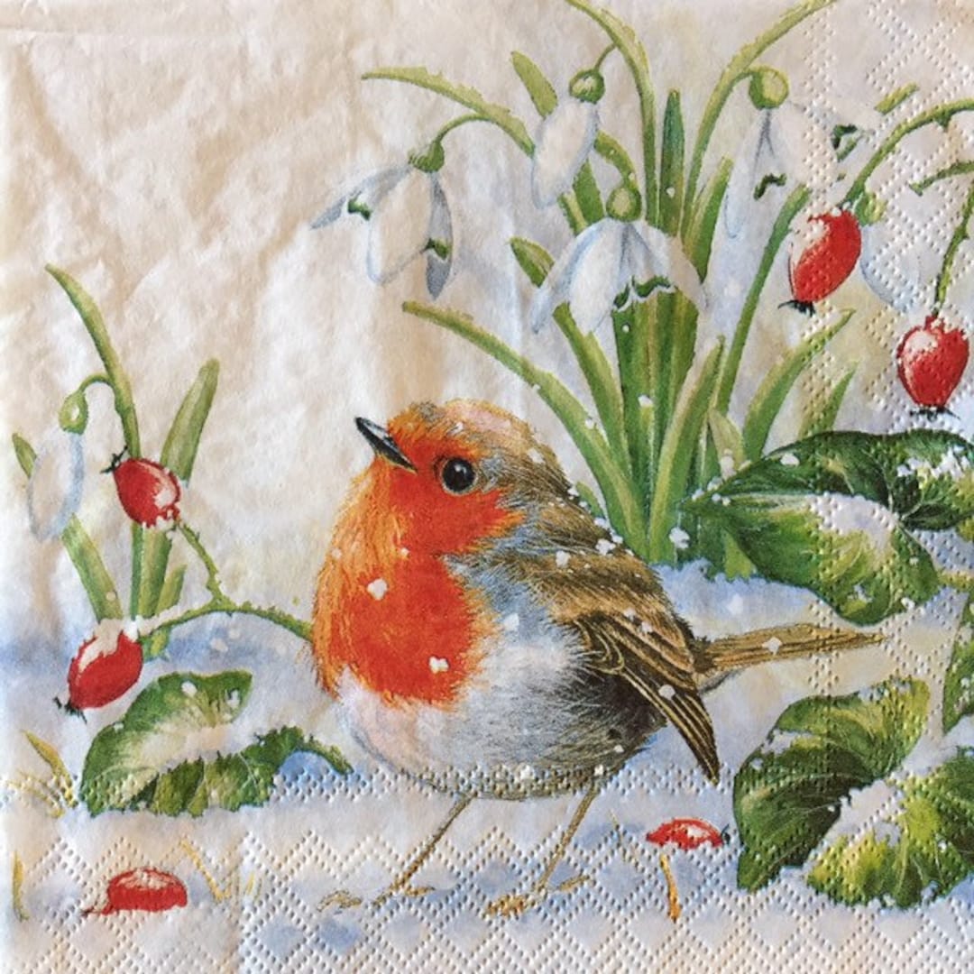 3 Decoupage Napkins, Round Robin Bird in Snow 13" X 13" Unfolded - Etsy