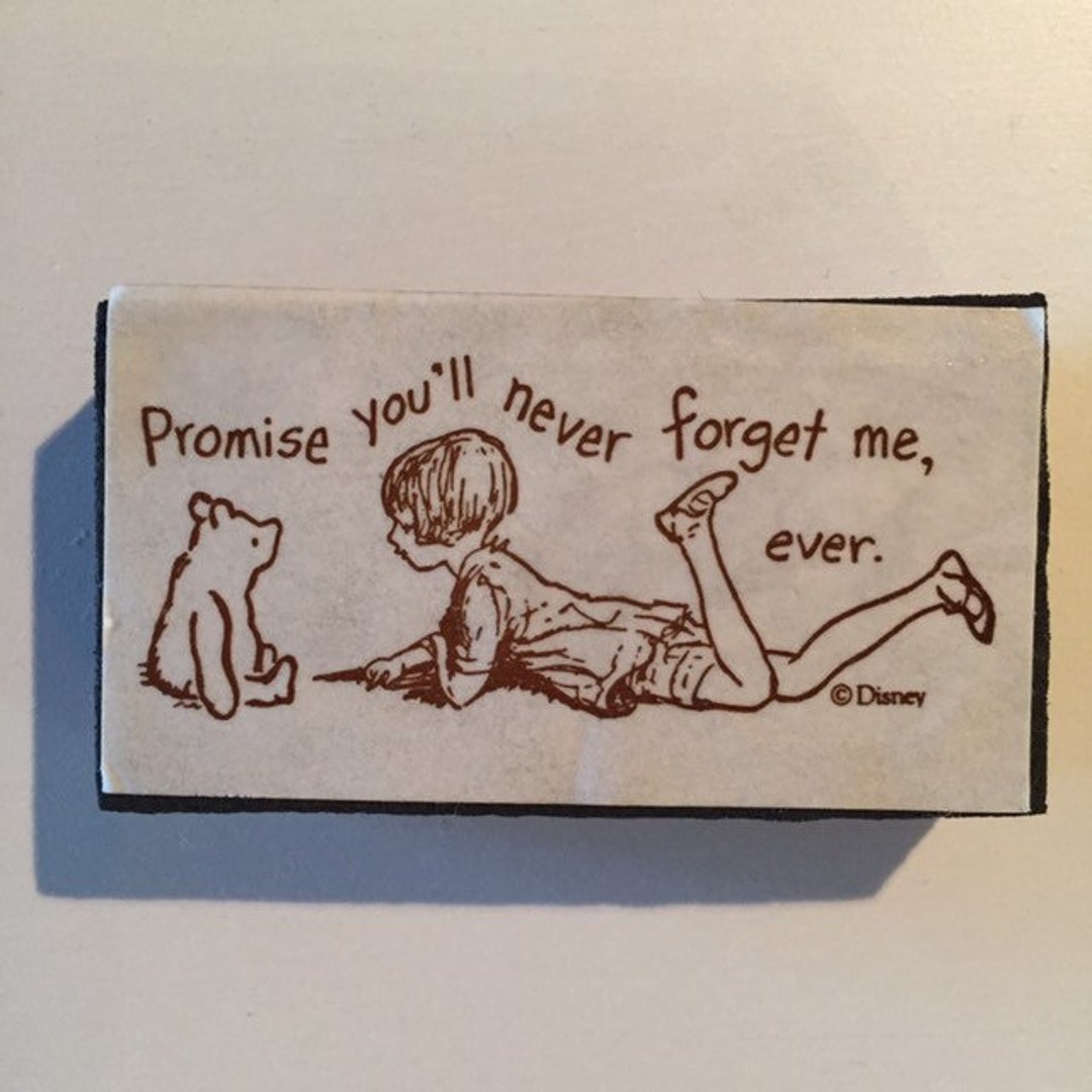 Classic Winnie the Pooh Christopher Robin Promise Me Poohisms - Etsy