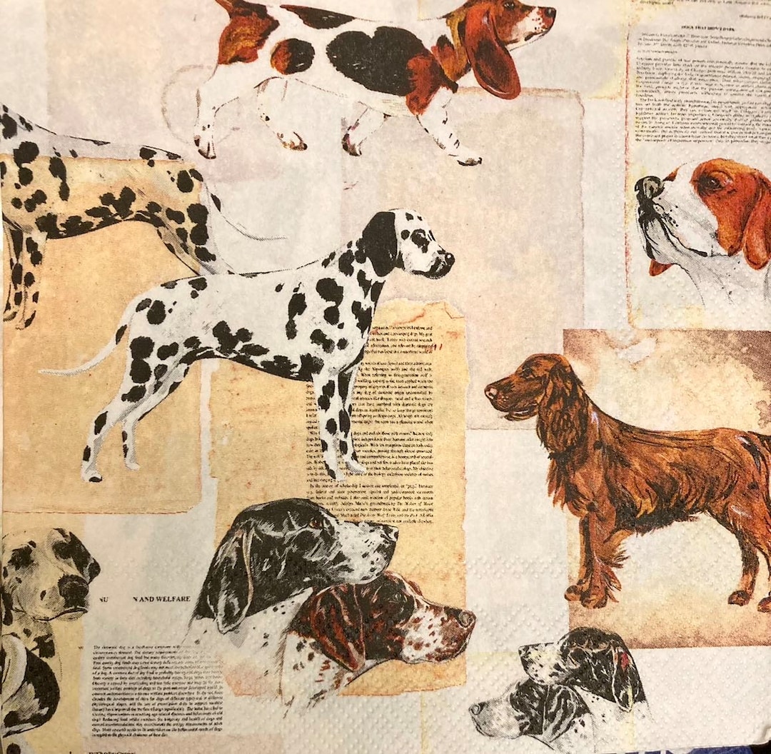 3 Decoupage Napkins Dog Breeds Dalmation Beagle Golden - Etsy