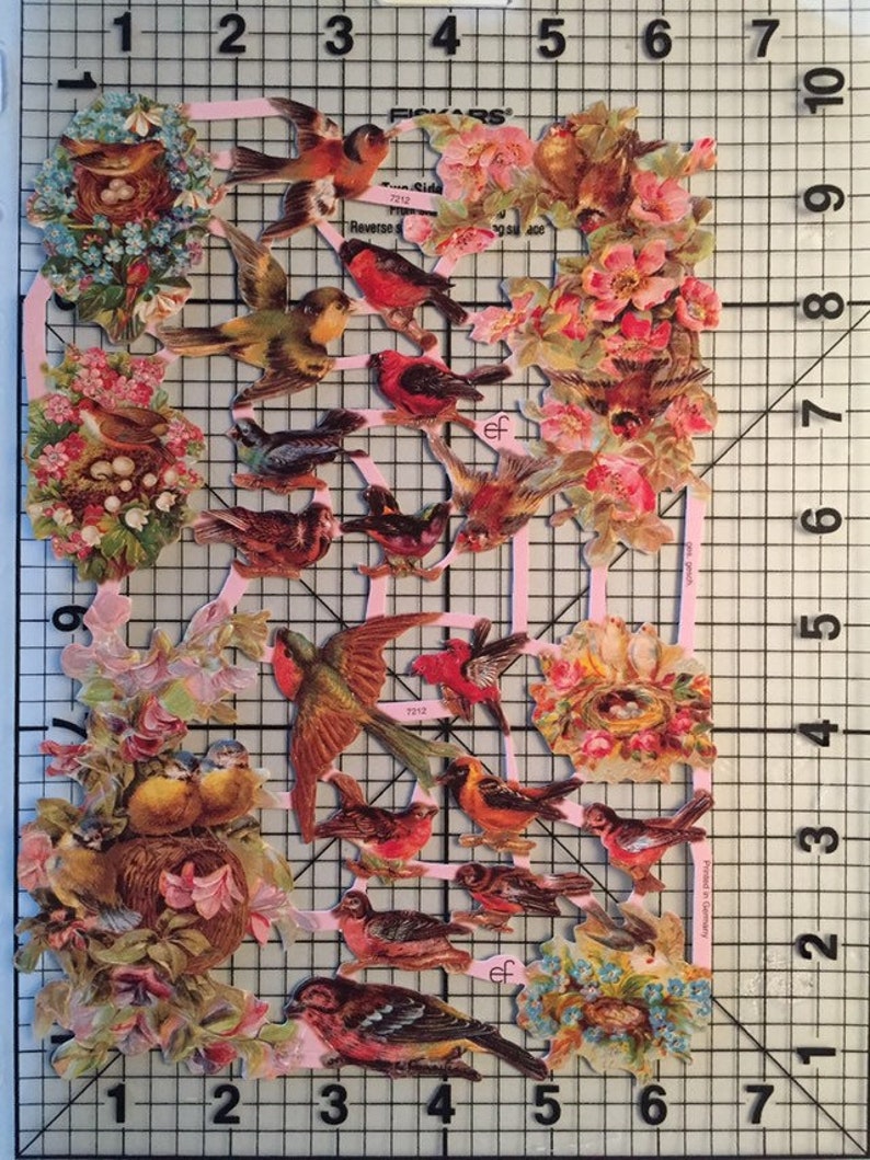 Spring Birds Nests SCRAP RELIEFS (1 Sheet) #7212 - Embossed Die Cuts ...