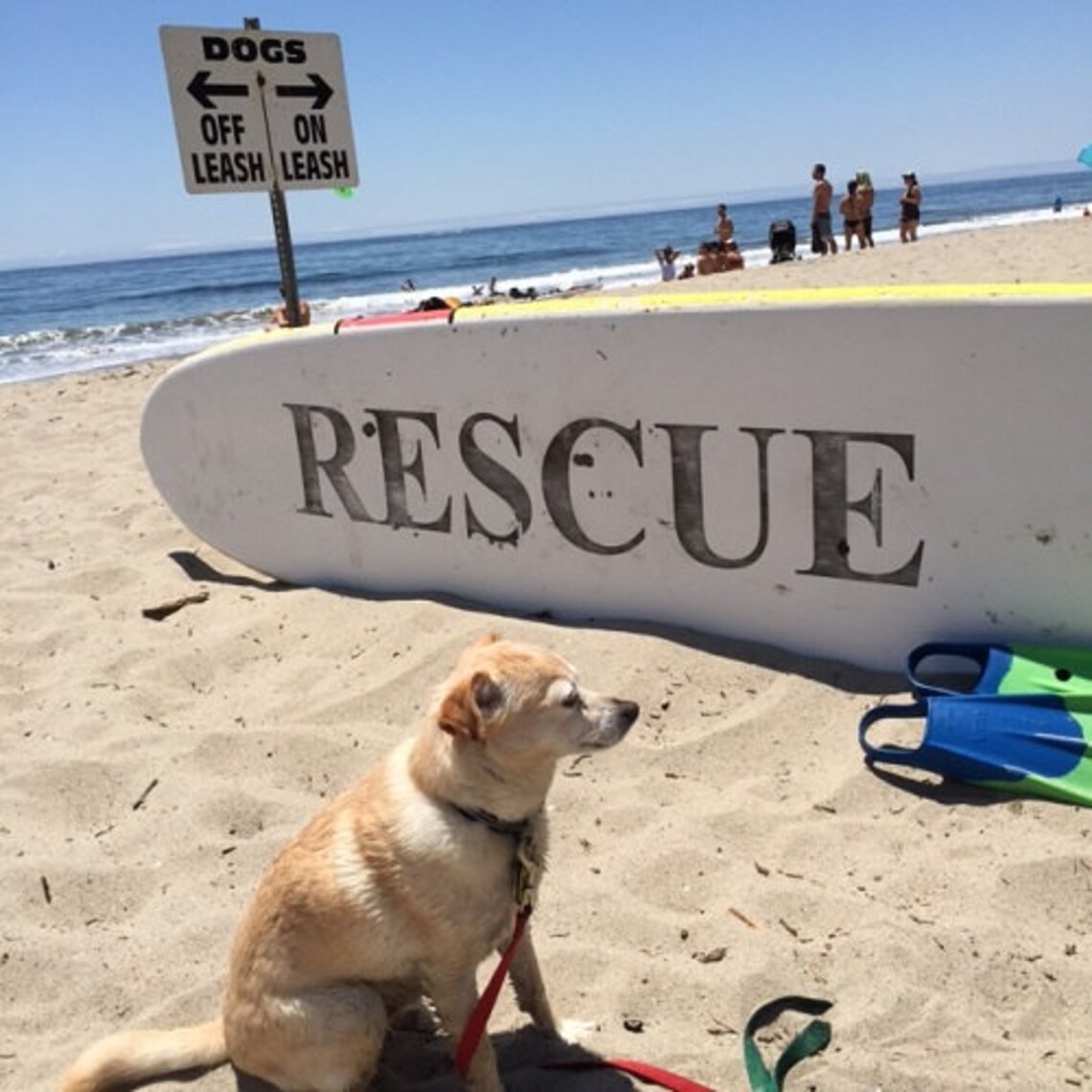 Vintage Dog SCRAP RELIEFS 1 Sheet 7337 Embossed Die Cuts - Etsy