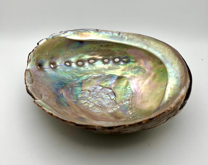 Vintage Natural Beauty Paua Black Abalone Sea Shell Beach Craft ...