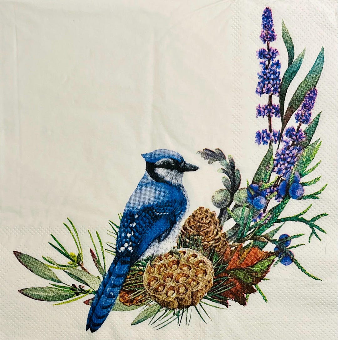 3 Decoupage Napkins, Blue Jay Bird Pine Cone, 13" X 13" Unfolded - Etsy
