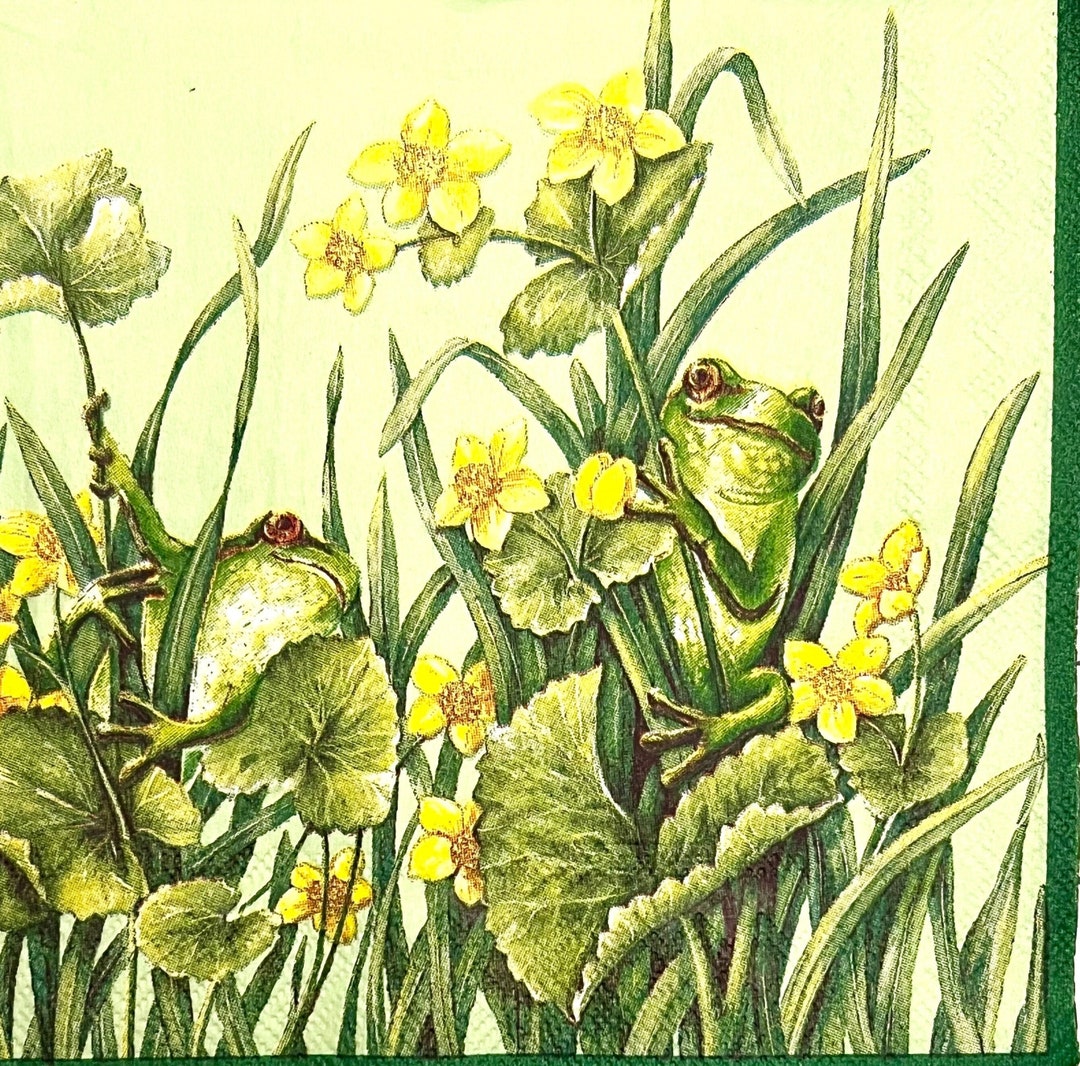 3 Decoupage Beverage Napkins Green Frogs Friends, 10 X 10 Unfolded - Etsy