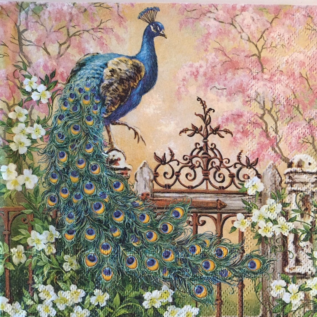 3 Decoupage Napkins, Noble Beautiful Peacock, 13" X 13" Unfolded - Etsy