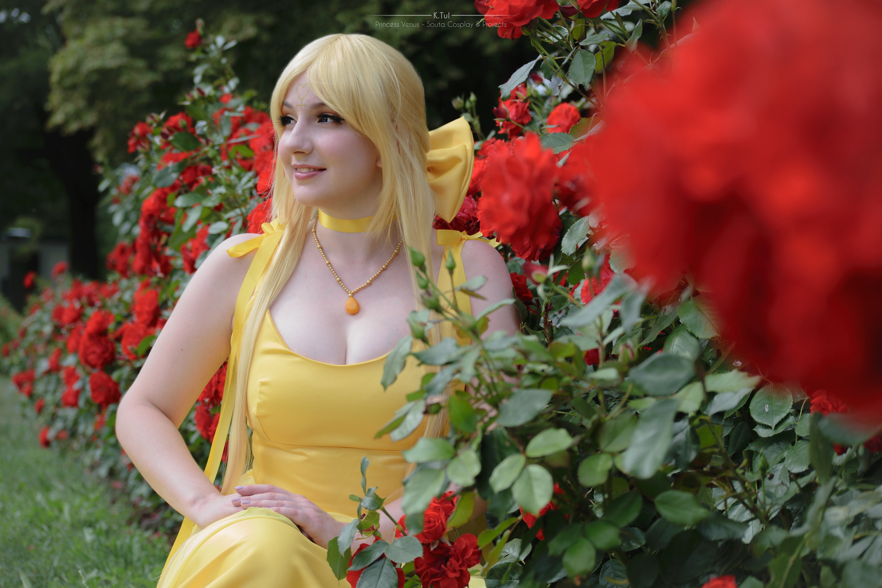 Princess Venus Cosplay