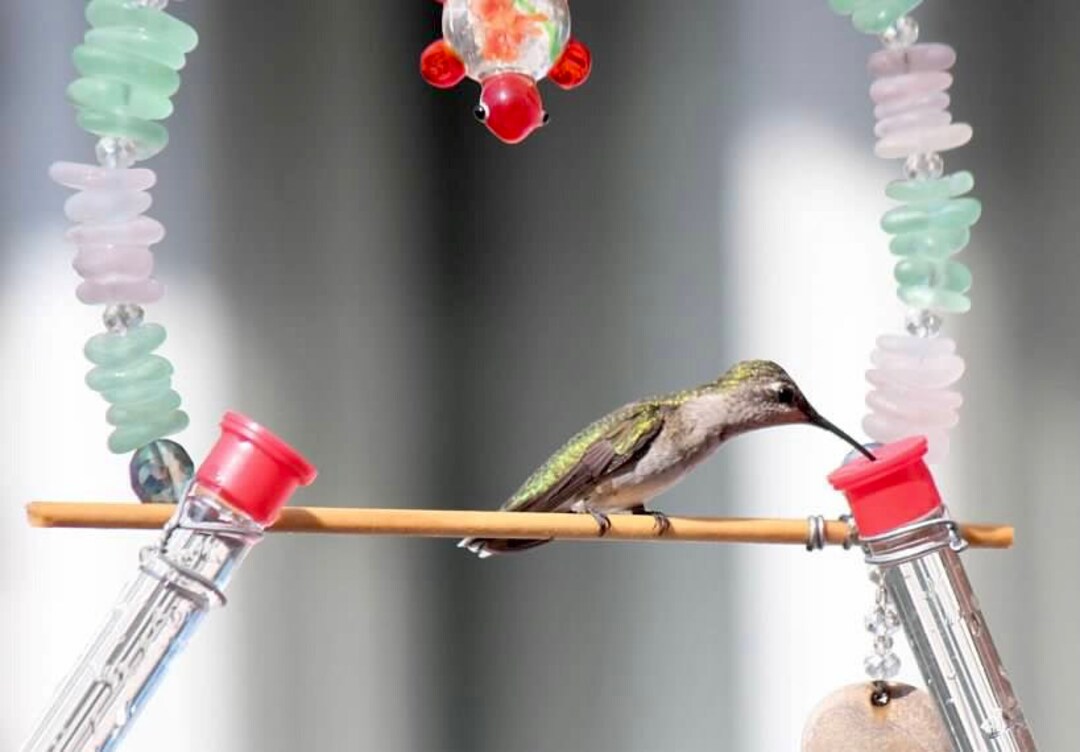 Sea Glass Hummingbird Swing With Feeder, Turtle Charm - Etsy