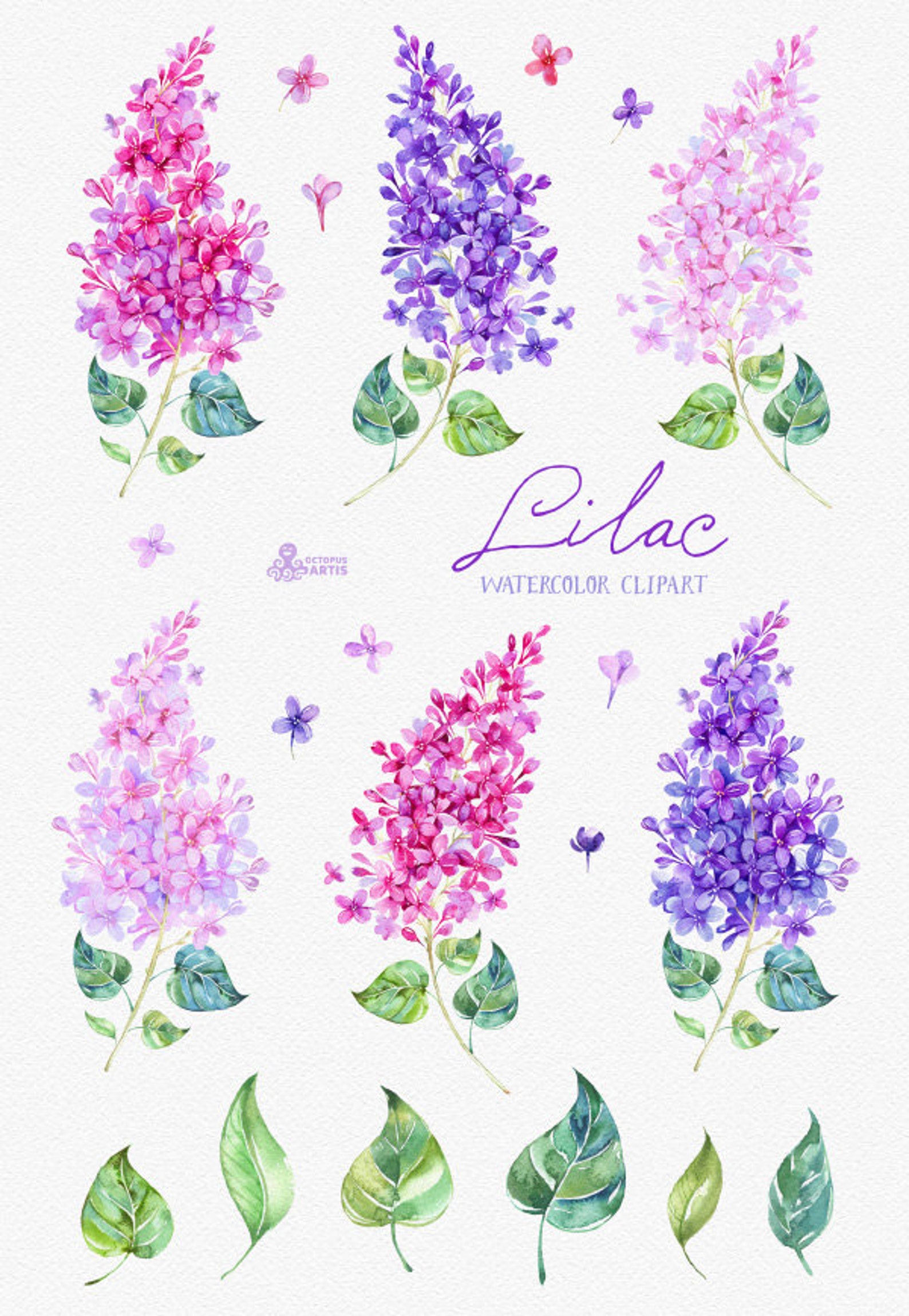 Lilac Watercolor Clipart Card Floral Elements Wedding - Etsy