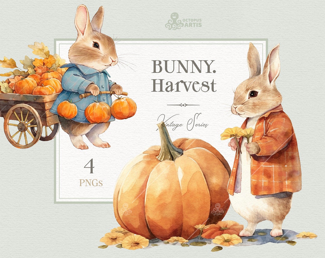 Bunny. Harvest Vintage. Animal Clipart, Halloween, Thanksgiving, Rabbit ...