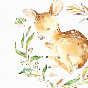 Little Deer. Watercolor Animal Clipart, Floral Wreath, Roe, Fawn ...
