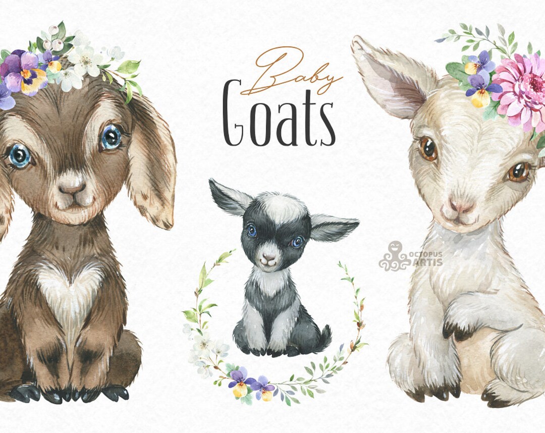 Baby Goats. Watercolor Little Animals and Floral Clipart, Spring ...