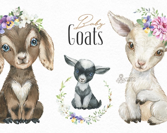 Clip Art Baby Goat