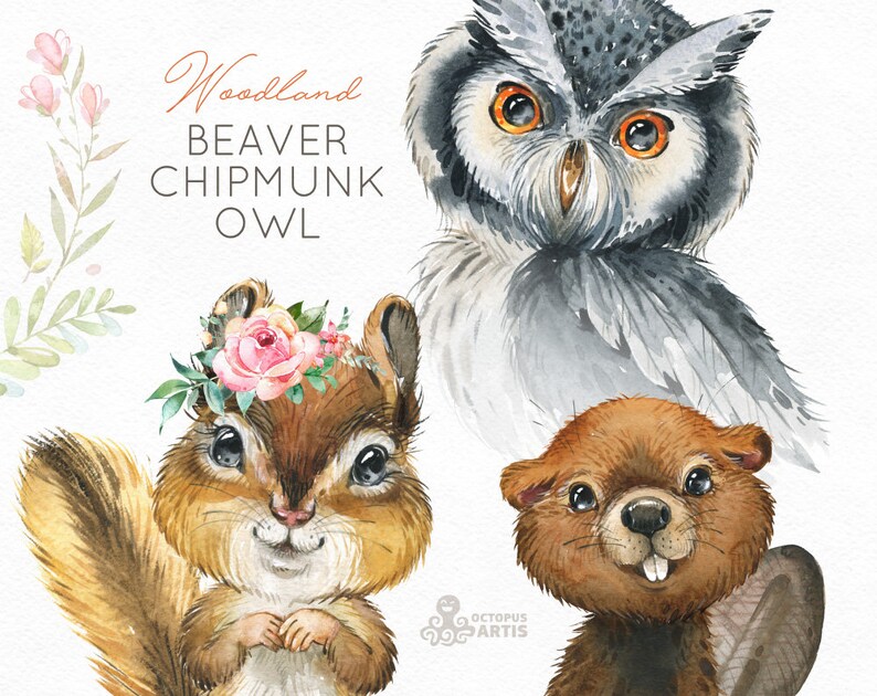 Beaver Chipmunk Owl. Watercolor Animals Clipart Woodland - Etsy