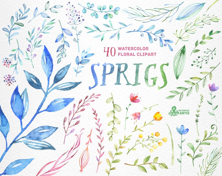Sprigs. 40 Watercolor Handpainted Clipart Foliage Grass | Etsy