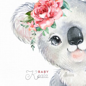 Baby Koala. Watercolor Little Animals Clipart Australia Portrait ...