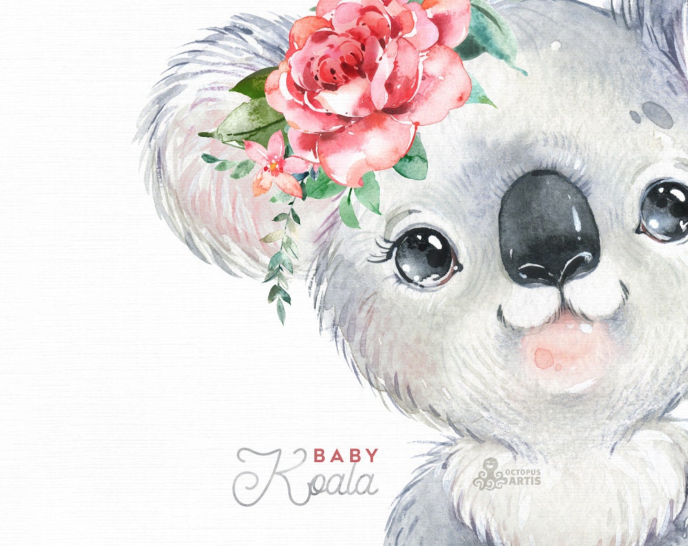 Baby Koala. Watercolor Little Animals Clipart Australia - Etsy