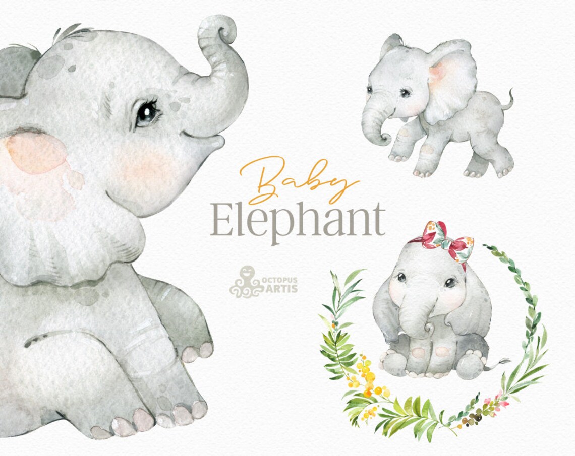 Baby Elephant. Watercolor Little Animal Clipart Babies - Etsy