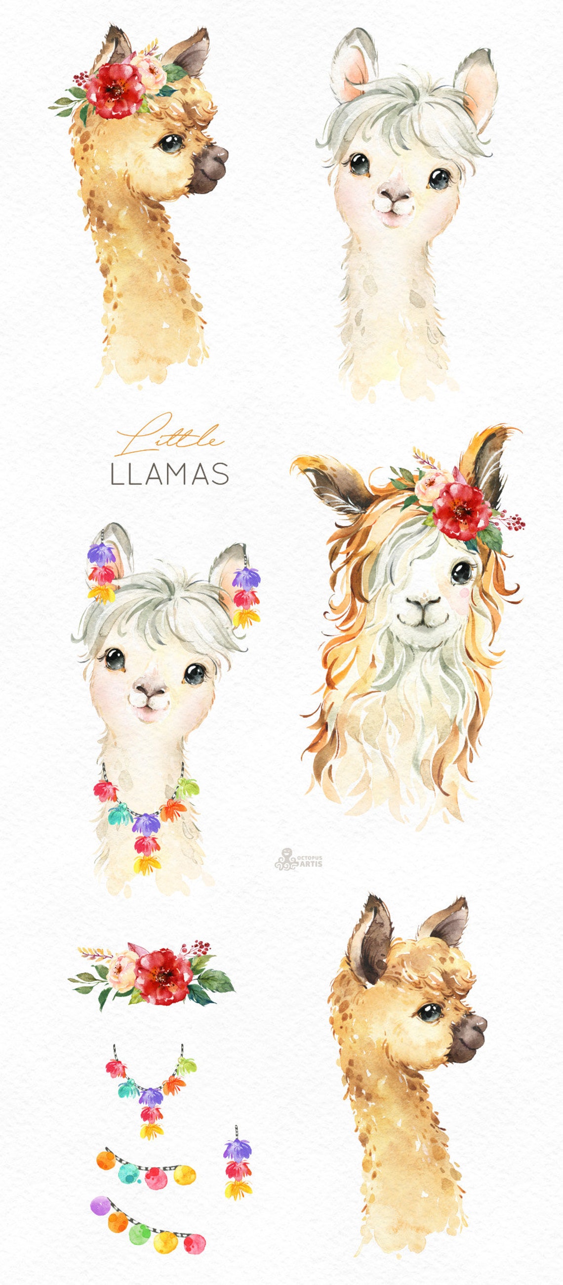 Little Llamas. Watercolor Animals Clipart Alpaca Portrait | Etsy Australia