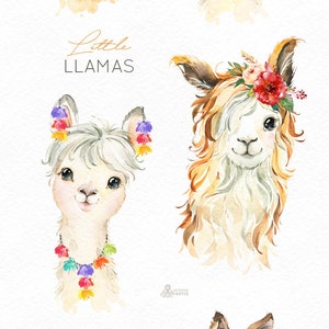 Little Llamas. Watercolor Animals Clipart, Alpaca, Portrait, Flowers ...