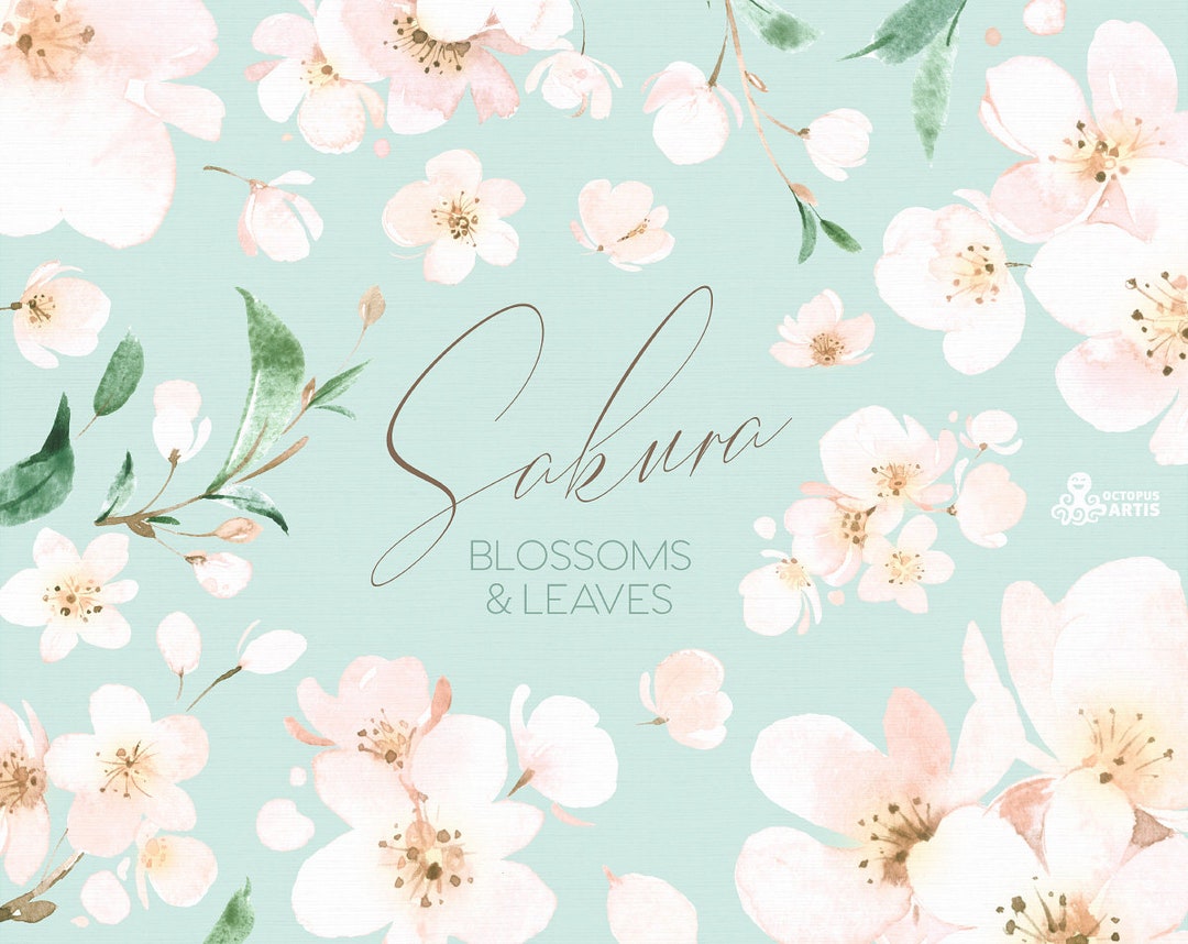 White Sakura. Blossoms & Leaves. Watercolor Floral Clipart, Fresh ...