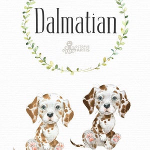 Dalmatian. Watercolor Little Pet Clipart, Portrait, Puppy, Doggie, Baby ...