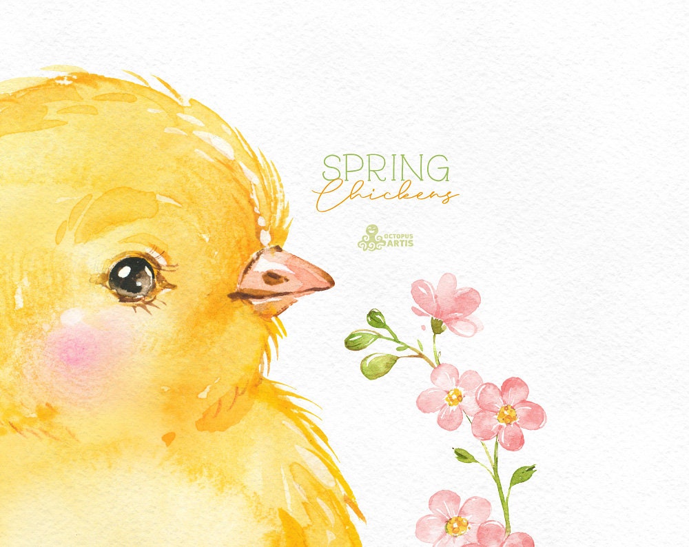 Spring Chickens. Watercolor Little Animals and Floral Clipart - Etsy
