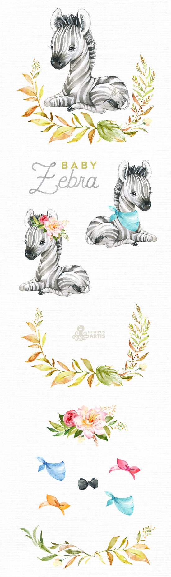 Baby Zebra. Watercolor Little Animal Clipart Babies Flowers - Etsy