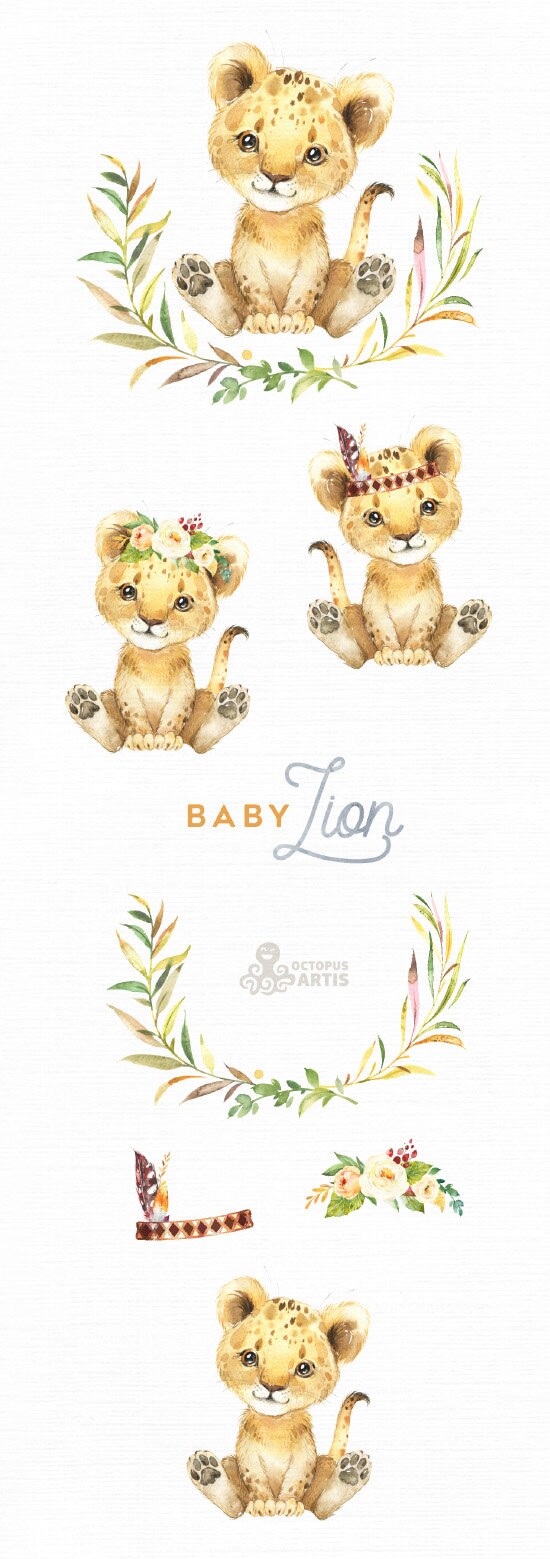 Baby Lion. Watercolor Little Animal Clipart Babies Flowers - Etsy