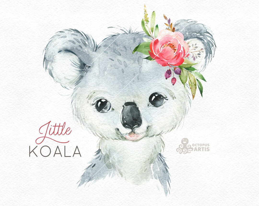 Baby Koala. Watercolor Little Animals Clipart Australia Portrait ...