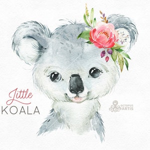 Baby Koala. Watercolor Little Animals Clipart Australia Portrait ...