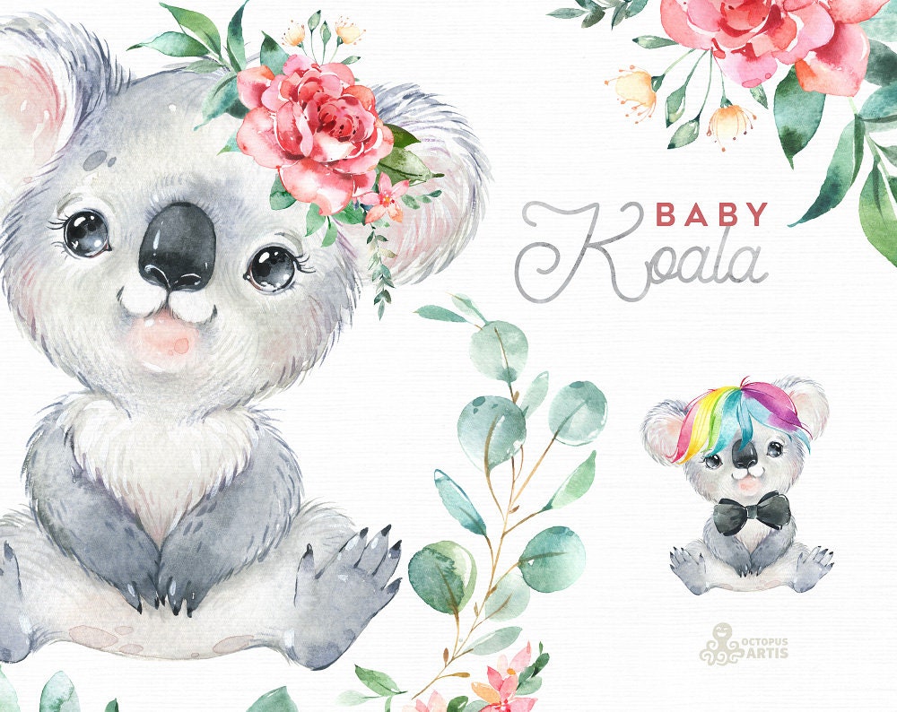 Baby Koala. Watercolor Little Animals Clipart Australia - Etsy